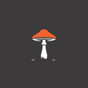 Toadstool Geologic Park Photos