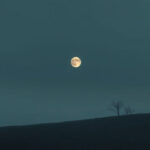 The Definition Of Desolate